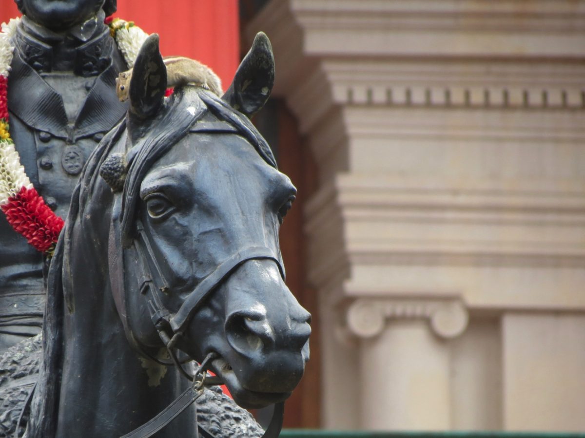 Equestrian statue of Mark Cubbon in Bangalore, Karnataka India