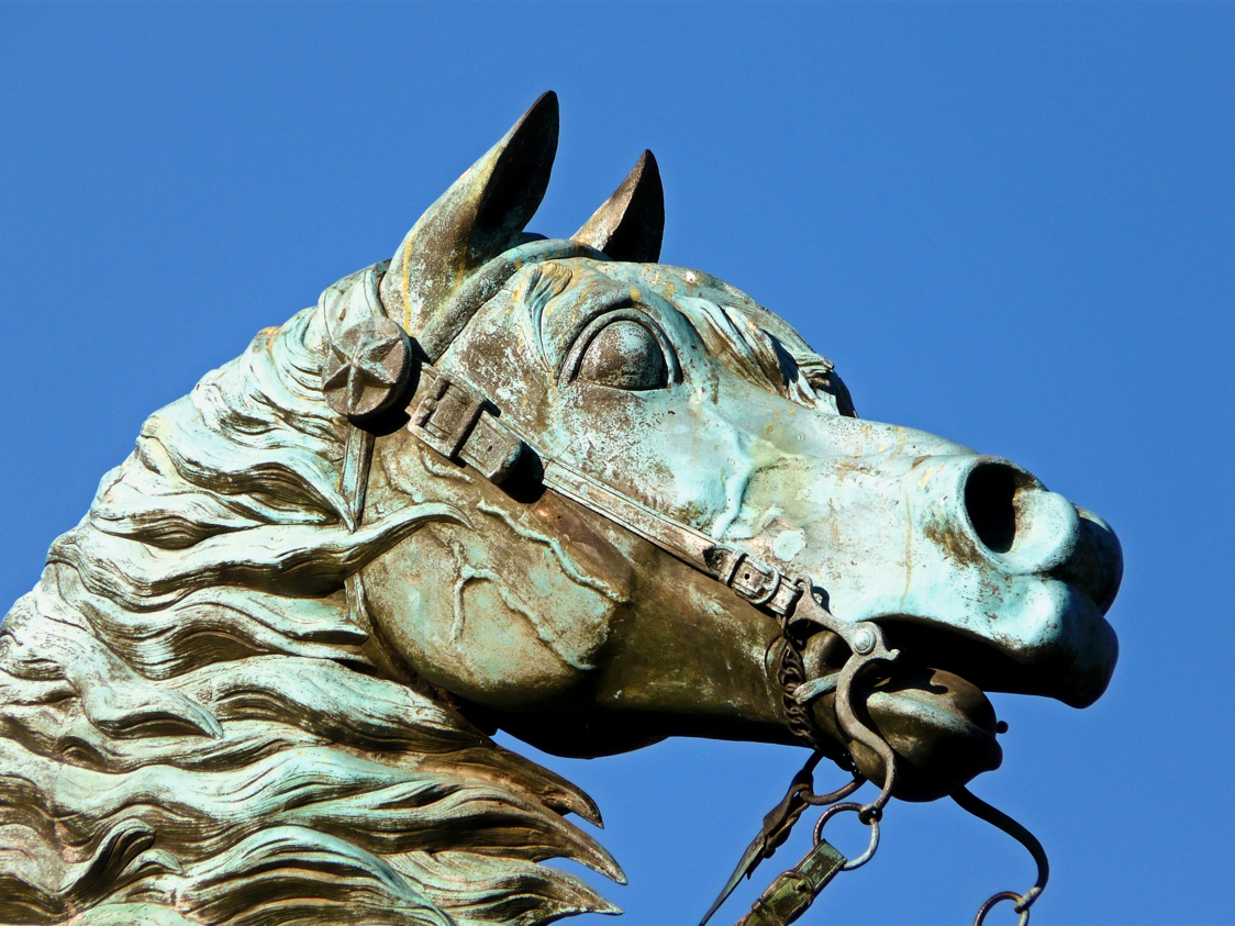 Equestrian statue of George Washington in Washington D.C. US